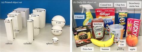 Two Sets Of Objects Are Tested In The Experiments A The Set Of Download Scientific Diagram