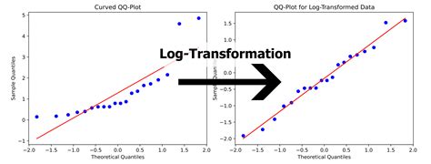 What Is A Qq Plot And Why Is It Important — The Experimental Design Hub