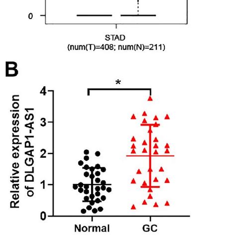 Dlgap1 As1 Is Up Regulated In Gastric Cancer Gc Tissues And Cells A