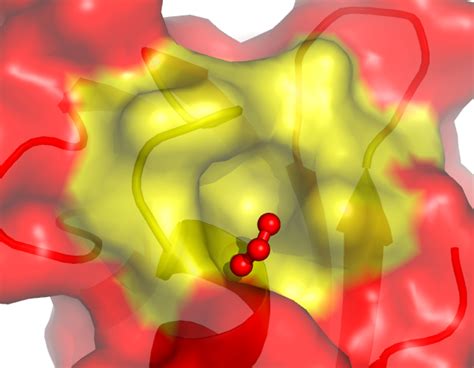 Pa R Is A Tutorial On Using PyMOL To Generate Publication Quality Figures Zz From Hongkong