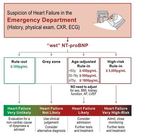 Dr Navjeet Singh Ahluwalia On Linkedin Nt Probnp Interpretation In Er