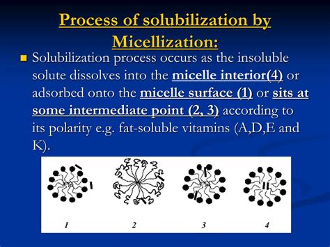 Ppt Solutions And Solubility Powerpoint Presentation Free Download