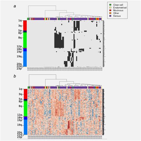 Integration Of Genomic Transcriptomic And Histological Data Download Scientific Diagram