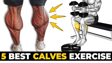 BEST EXERCISE CALVES WORKOUT Calf Raise YouTube