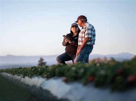Nutrien Careers Grow With Us Nutrien