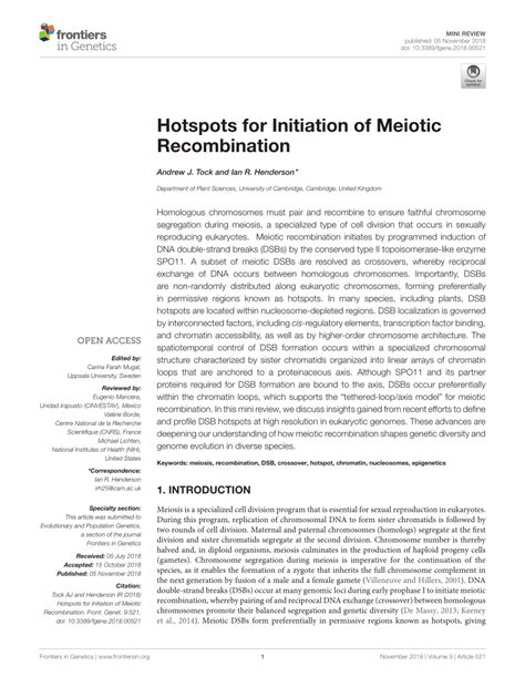 Pdf Hotspots For Initiation Of Meiotic Recombination