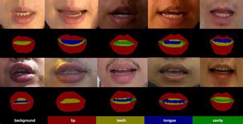 Fine Grained Lip Image Segmentation Using Fuzzy Logic And Graph Reasoning Yangleisx