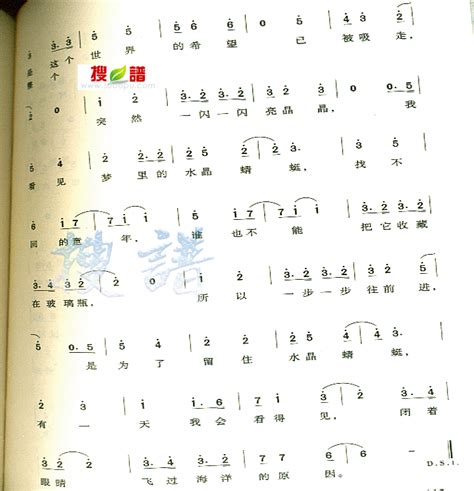 水晶蜻蜓 南拳妈妈 歌谱 简谱