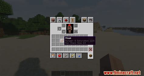 More Tooltips Mod 1minecraft