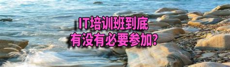 It培训班到底有没有必要参加？ 哔哩哔哩