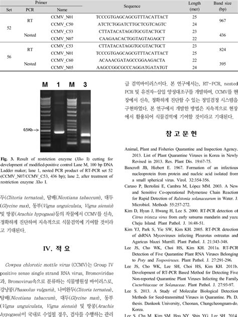 Information Of Finally Selected Rt Pcr And Nested Pcr Primer Sets For