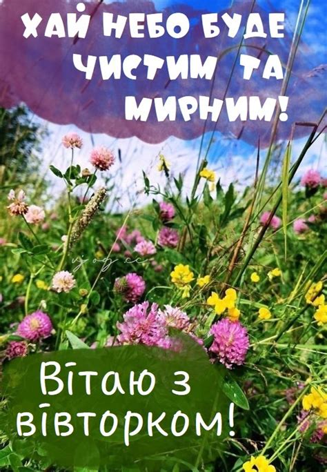 Красиві картинки З вівторком Мирного неба 45 фото