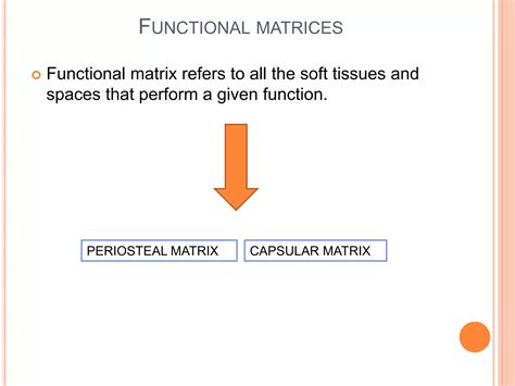 Functional Matrix Theory Pptx Bone And Joint Conditions Diseases And Conditions