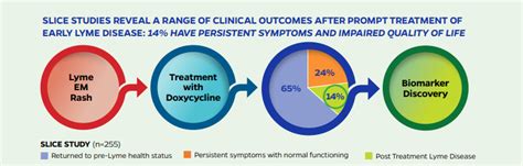 Lyme Disease Treatment Prognosis For Lyme Patients After Treatment