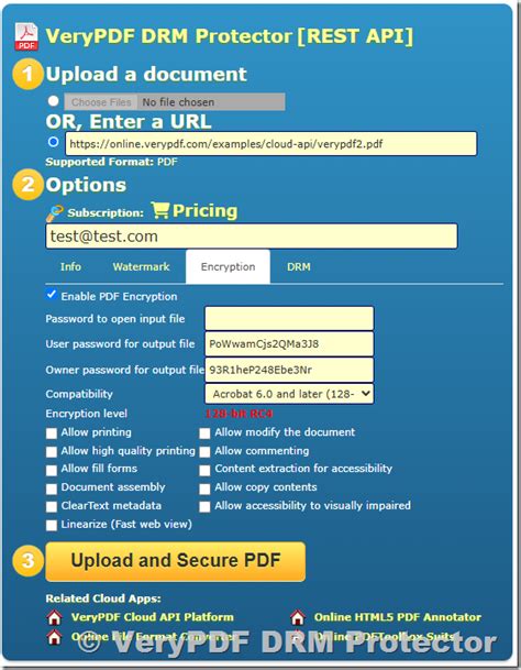 Step By Step Guide How To Use Verypdf Drm Protector Online Application To Secure And Protect