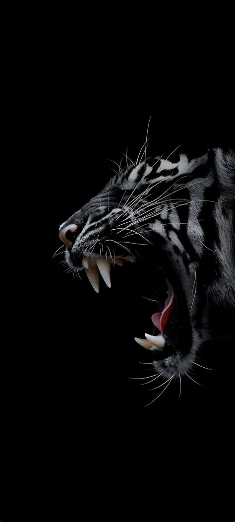 تصویر زمینه تاریک برای گوشی عکس نودی