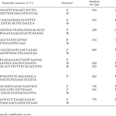 A Box Pcr Profiles Obtained By Using Dna From Clinical And