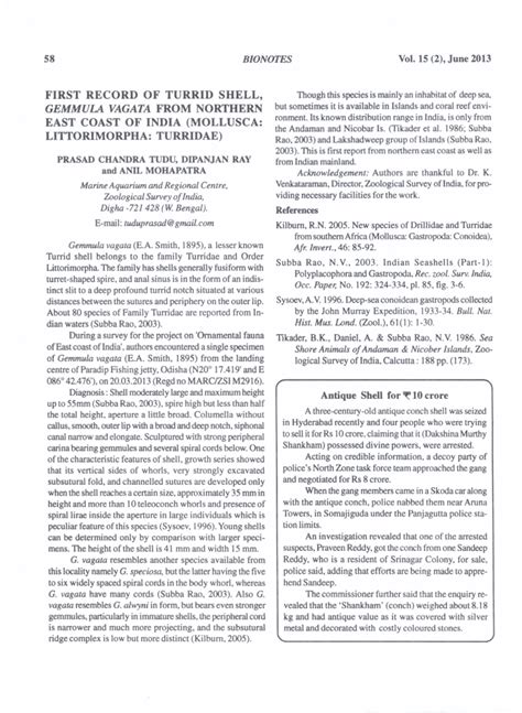 Pdf First Record Of Turrid Shell Gemmula Vagata From Northern East