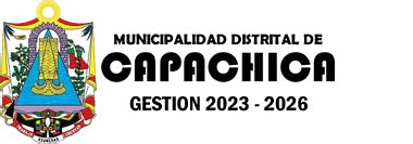 PLAN DE ACCIÓN DISTRITAL DE SEGURIDAD CIUDADANA 2024 2027 PADSC