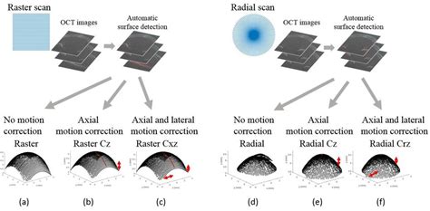 Shows A Schematic Representation Of The Patterns And The Algorithms For Download Scientific
