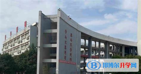 2022伊川县实验高中录取分数线2023参考