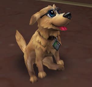 Wizard101 Bundles And Gauntlets Final Bastion 2026