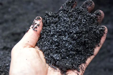 Biochar O Que é E Qual Seu Potencial De Uso Na Agricultura