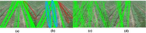 Image‐based Crop Row Detection Utilizing The Hough Transform And Dbscan