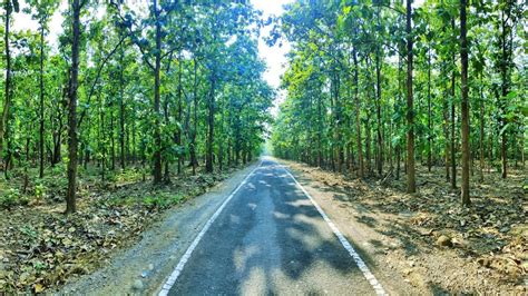 Ramnagar Sitabani Ke Jungle Karma Resorts Sitabani Jim Corbett