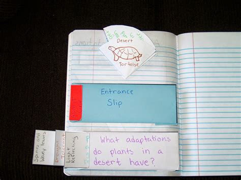 Pull Outs And Slide Folds For Interactive Notebooks Interactive