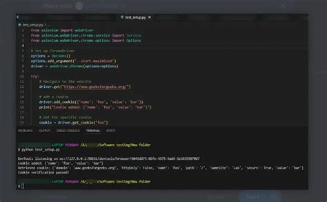 adding and deleting cookies in selenium python geeksforgeeks