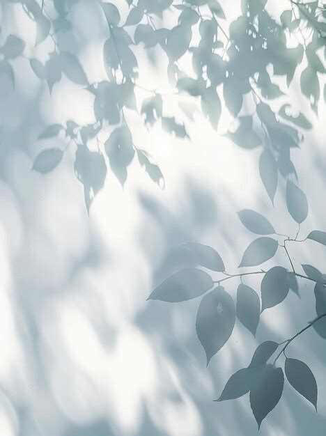 Leaf Shadows On White Surfacexa Premium Ai Generated Image