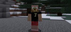 How To Setup Player Permissions On A Server With Luckperms Plugin