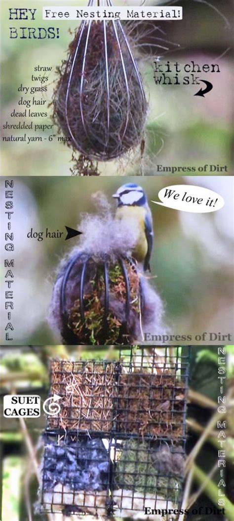 New Bird Feeder Use These Tips To Attract Birds Artofit