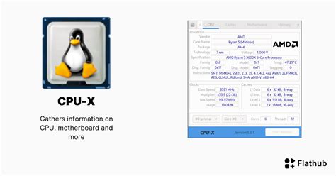在 Linux 上安装 Cpu X Flathub