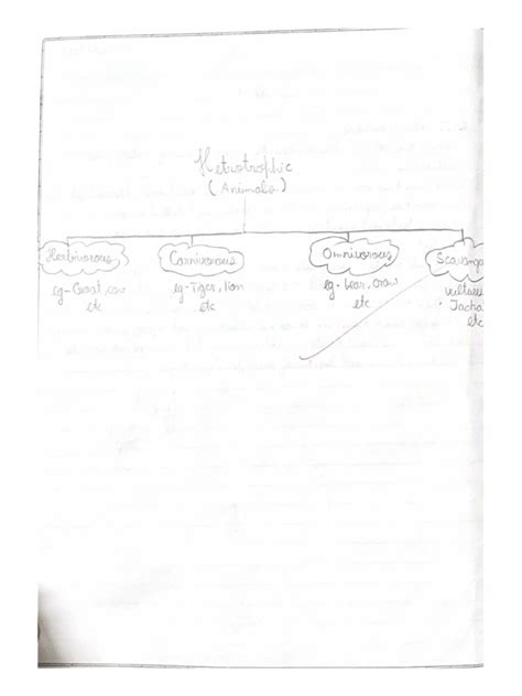 Ch 2 Pdf
