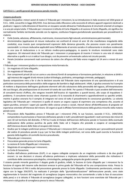 Servizio Sociale Minorile E Giustizia Penale Servizio Sociale