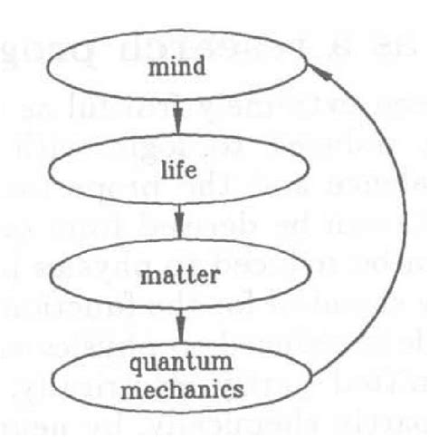 13 The Self Reference Loop Of Reductionism According To E Wigner