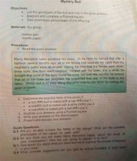 Mystery Bull Objectives List The Genotypes Of StudyX