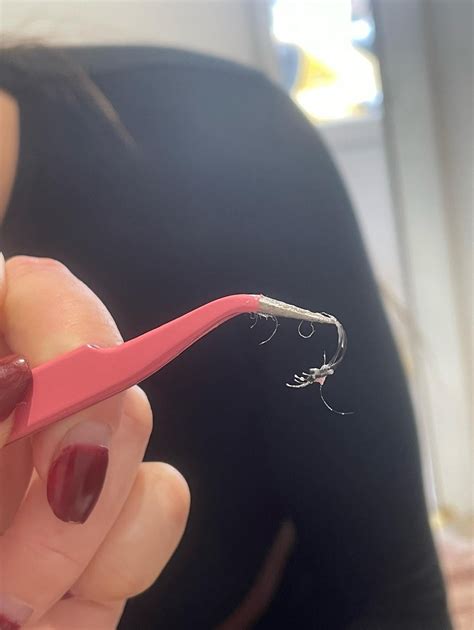 Eyelash Horror Reyelashextensions