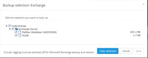 MS Exchange Backup