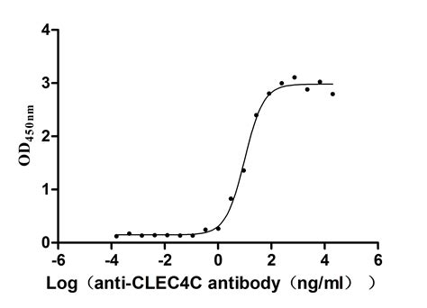 CLEC4C 信号通路 蛋白抗体 华美生物