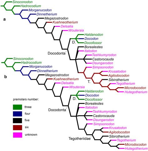 Strict Consensus Of Six Most Parsimonious Trees Produced By Tnt