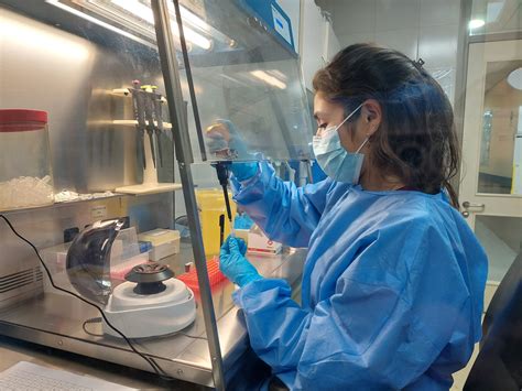 Laboratorio De Biología Molecular Del Hospital Clínico Magallanes