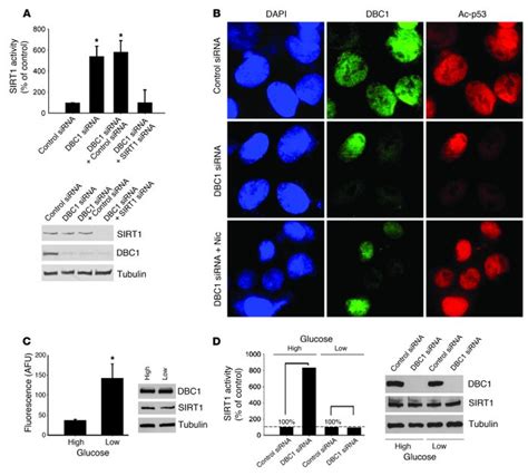 Jci Deleted In Breast Cancer1 Regulates Sirt1 Activity And