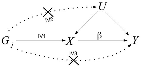 Causal Diagram Representing The Assumed Relationship Between A Genetic Download Scientific