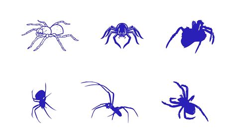 Premium Vector Aranea Spiders Vectors Icon Set