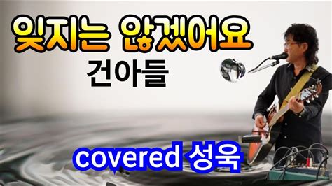 잊지는 않겠어요 원곡 건아들 Live Covered 성욱 Youtube