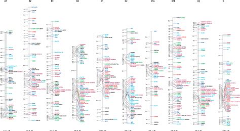 Soybean Genetic Linkage Map Constructed With Rflp Ssr Sts And Aflp Download Scientific