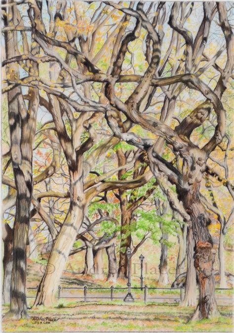 The Old The Art Of Printmaking Gallery Exhibition ‘the Art Of